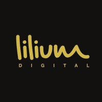 Lilium Digital ⋆ IT Logs